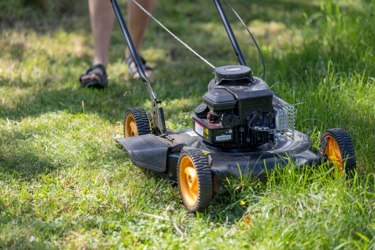 When To Cut Grass After Overseeding - Fancygardening